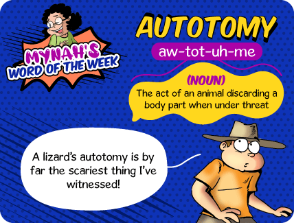Mynah's Word of the Week - Autotomy - Tinkle